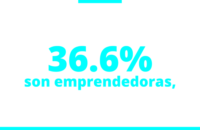 LAS CLAVES DE LA OPERACIÓN EXITOSA | mag21