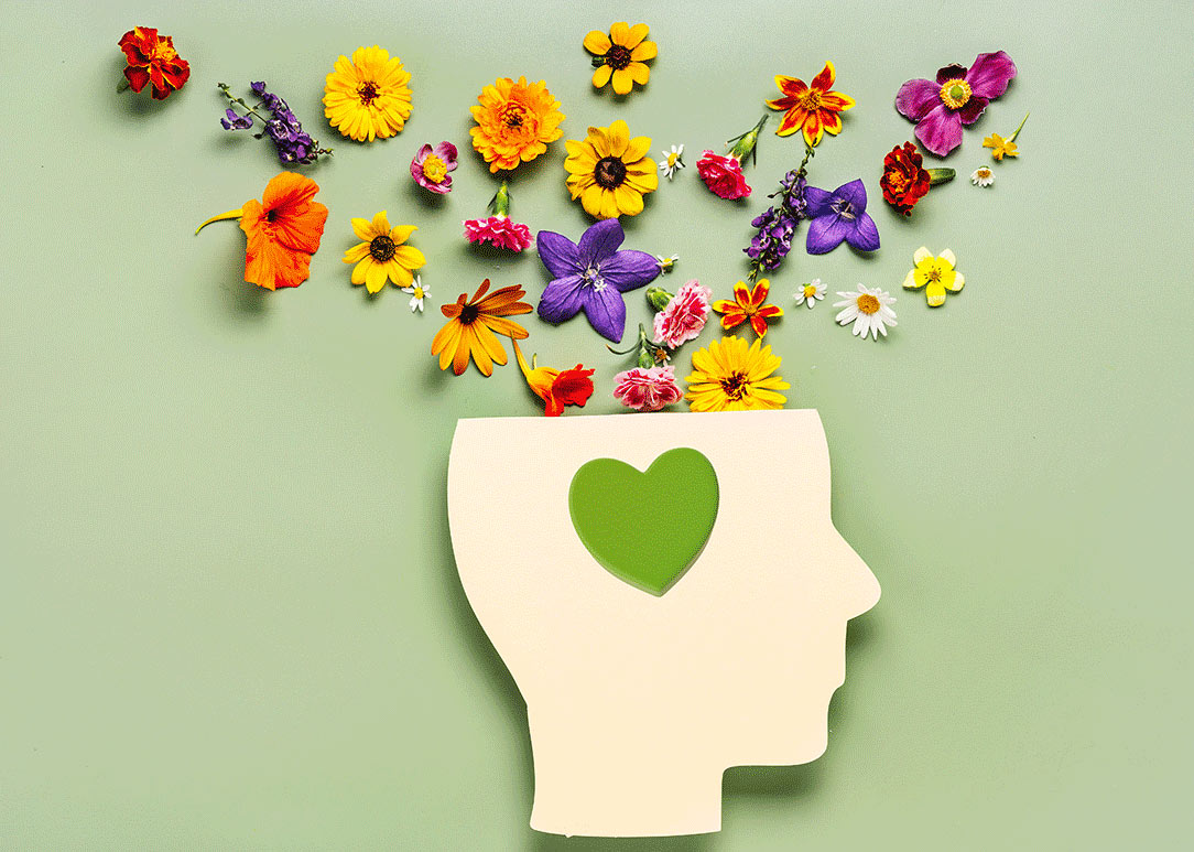 RAZÓN Y CORAZÓN, LA DUPLA GANADORA AL PRESENTARTE ANTE INVERSIONISTAS ...