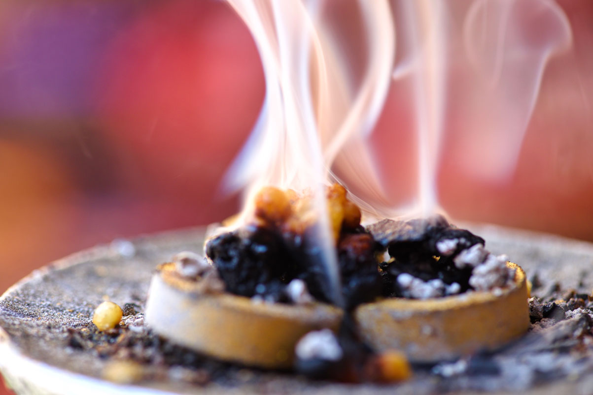 El copal, el incienso que guía a las almas | mag21